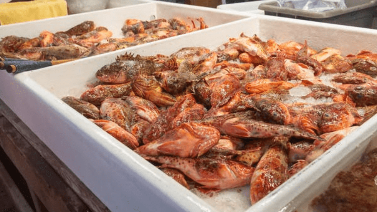 If consumers avoid hoarding, there will be enough fish for everyone ...