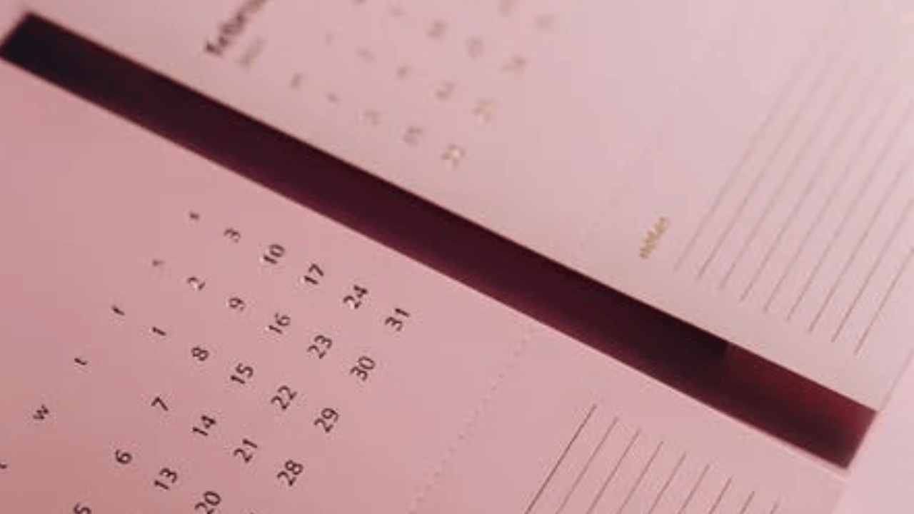 how-to-plan-your-day-including-8-success-tips-leh-leo-radio-news
