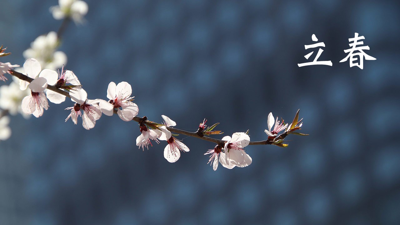 February 4 is the spring, together with the 7 ways to see the spring ...