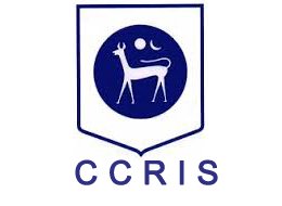 Get a CCRIS credit report online to see if your identity has been ...
